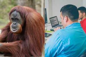 How to Fix Rounded Shoulders and Improve Your Posture