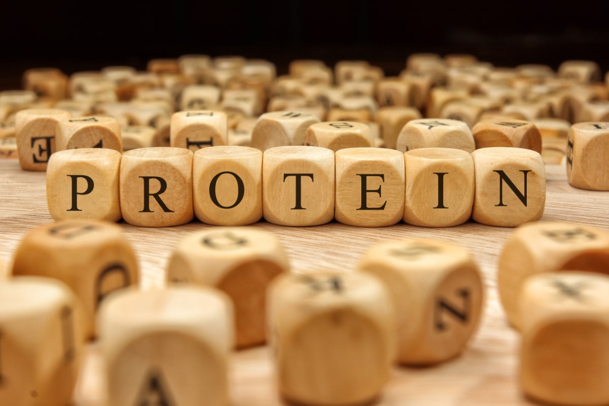 The Protein Diet: Protein for Osteoporosis and Bone Health